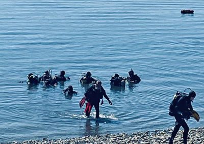 Explore our Hoodsport WA Resort on the shores of Hood Canal